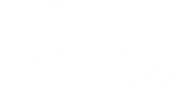 Palletizers - Berstron