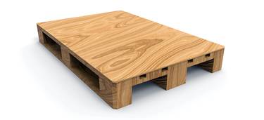 The Palletizer Book 2023 - Berstron